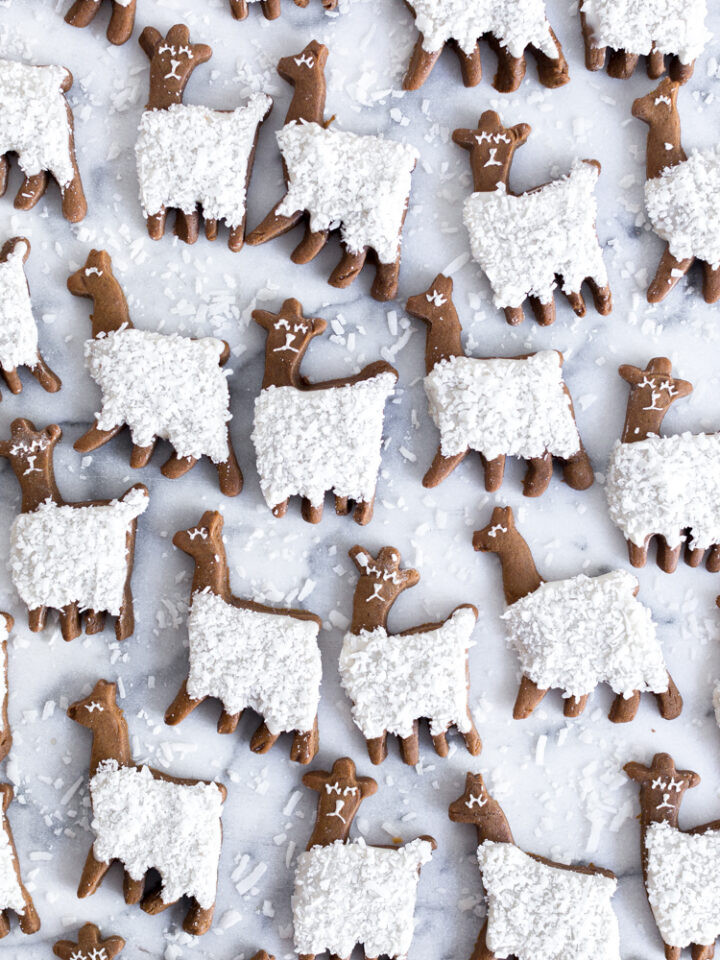 Frosted Animal Cookies Recipe | Baking the Goods