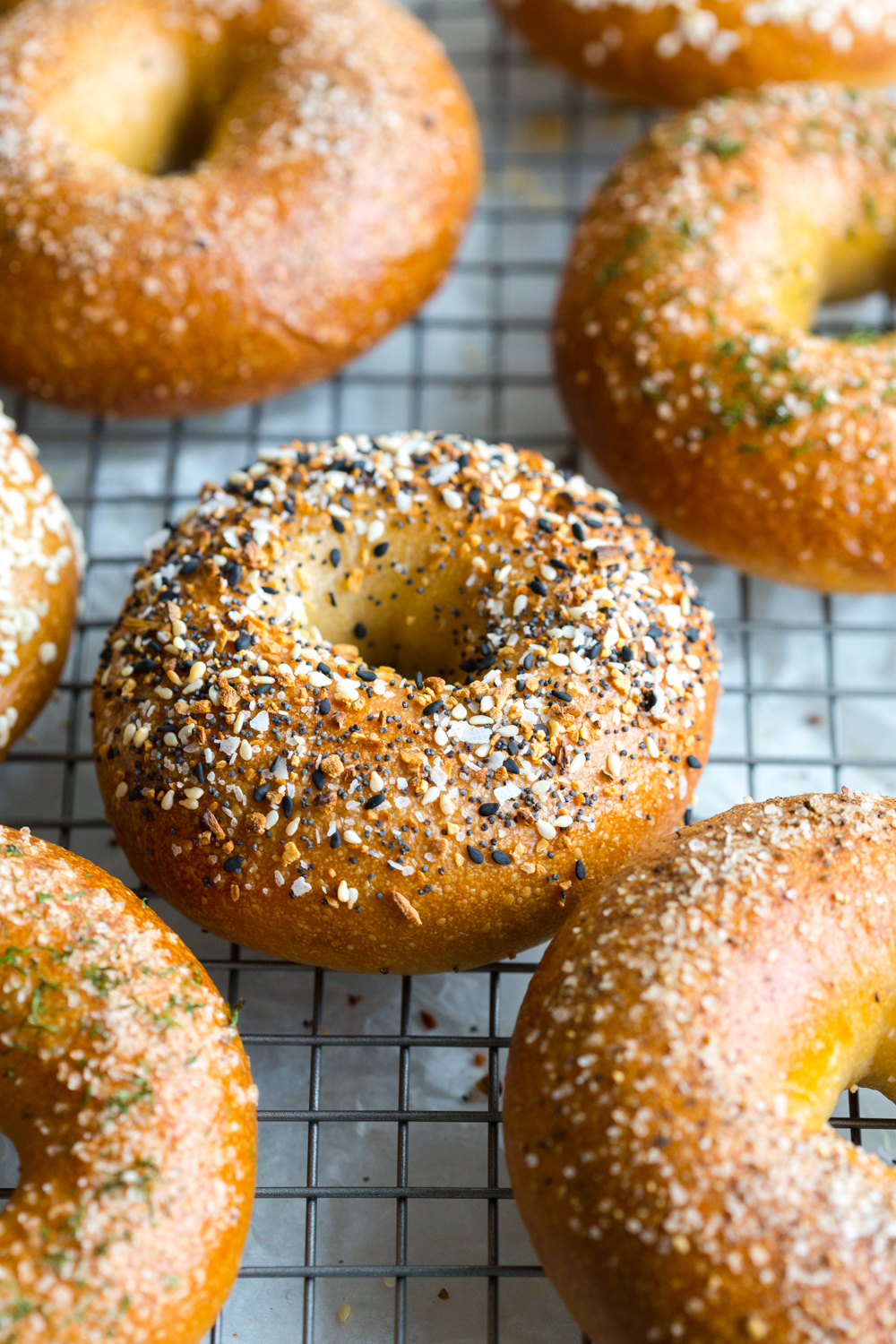 Best Basic Bagels | Baking the Goods