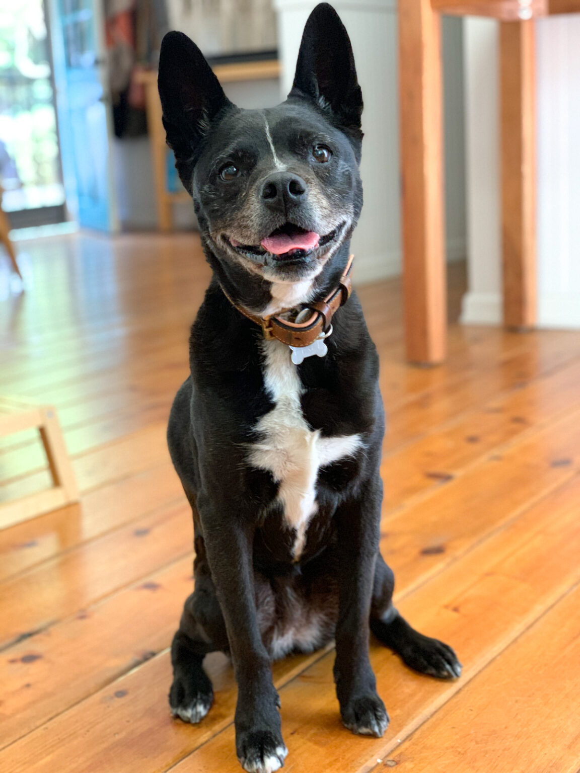 Lemon Rainbow Sprinkle Cookies | Baking the Goods